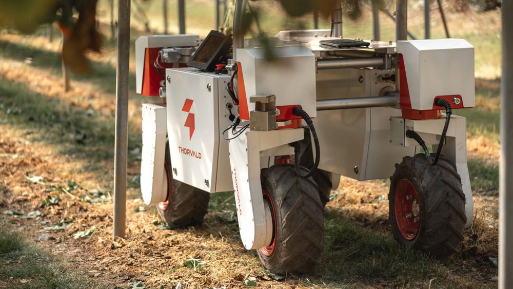 Roboten Thorvald gir bedre og større avlinger - Tu.no