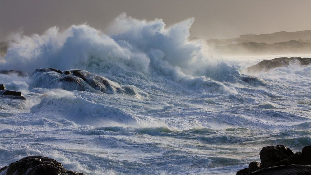 Trenger vi et Yr for havet? - Tu.no