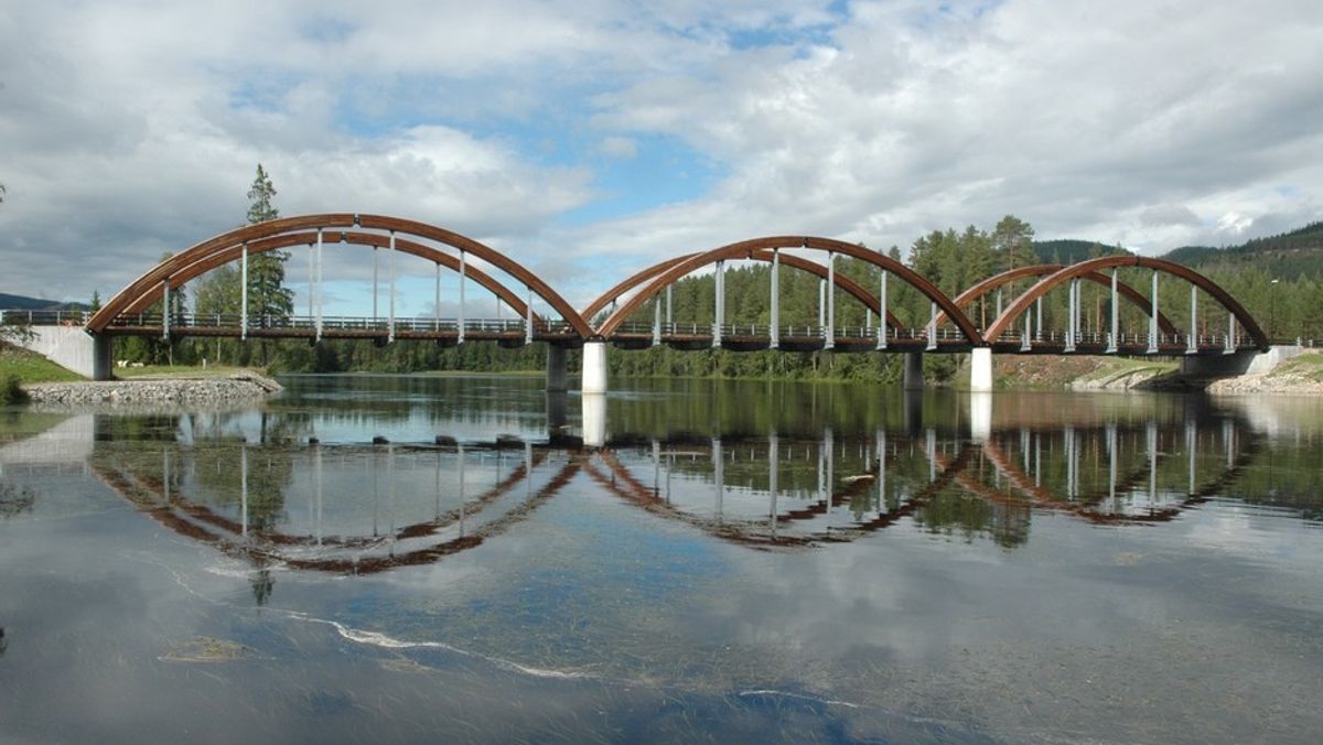 Trebru i de dype skoger | Tu.no