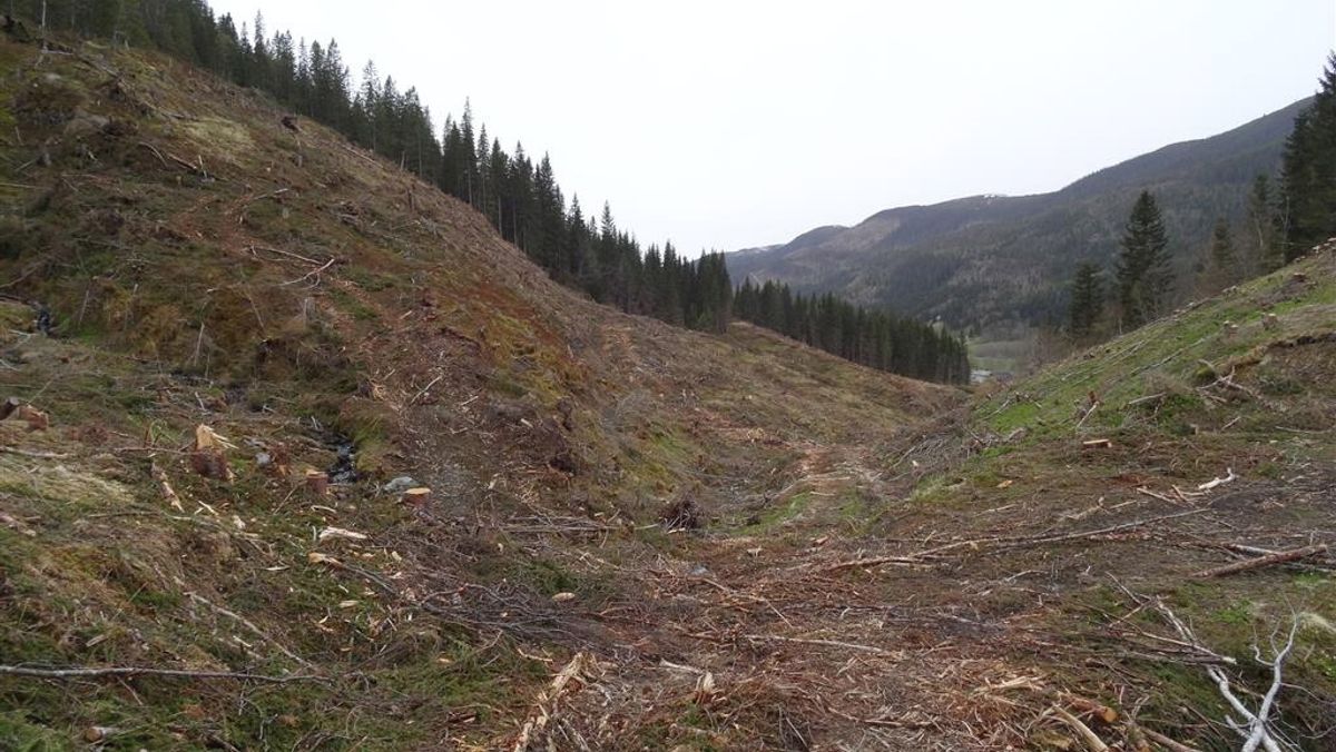 Storjobb i Rissa ut på anbud | Tu.no