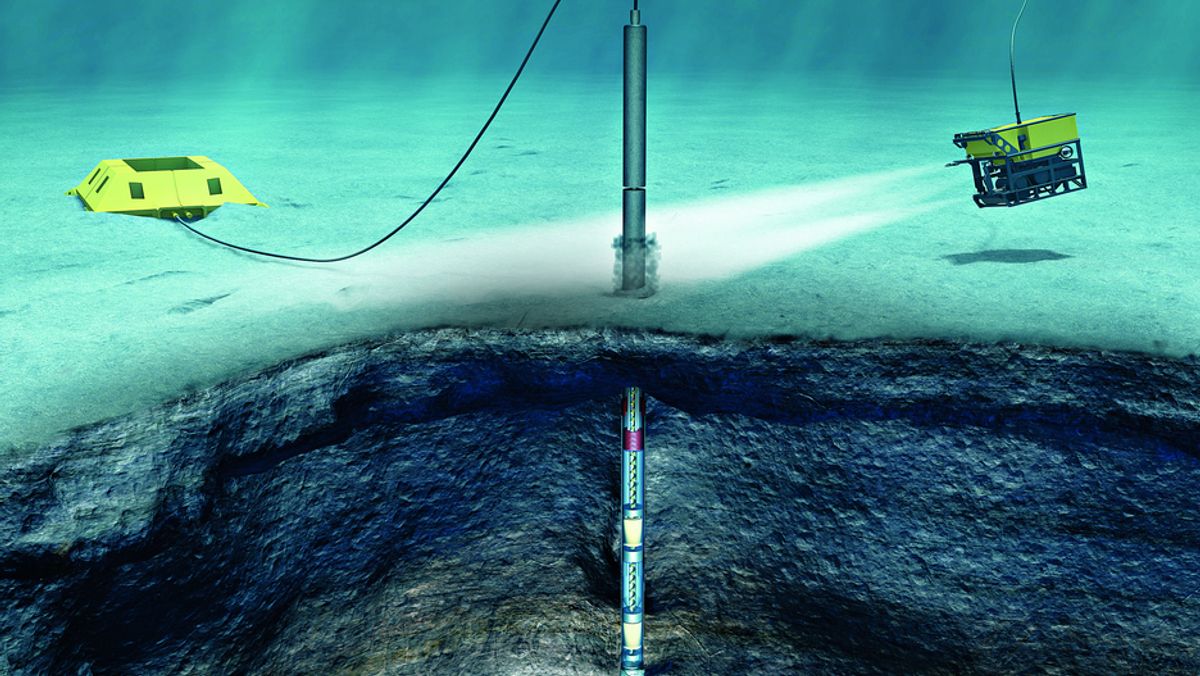 Badger - snart selvstendig | Tu.no