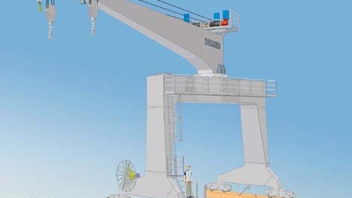 Norske kraner, kinesisk graver | Tu.no