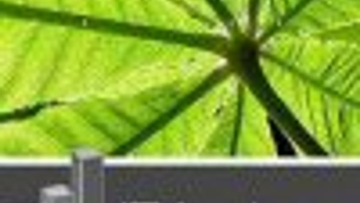 Gratis test av bedriftens lisensbruk | Digi.no