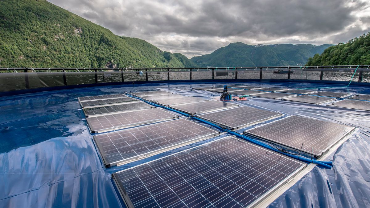 Satser på storskala flytende solceller | Tu.no