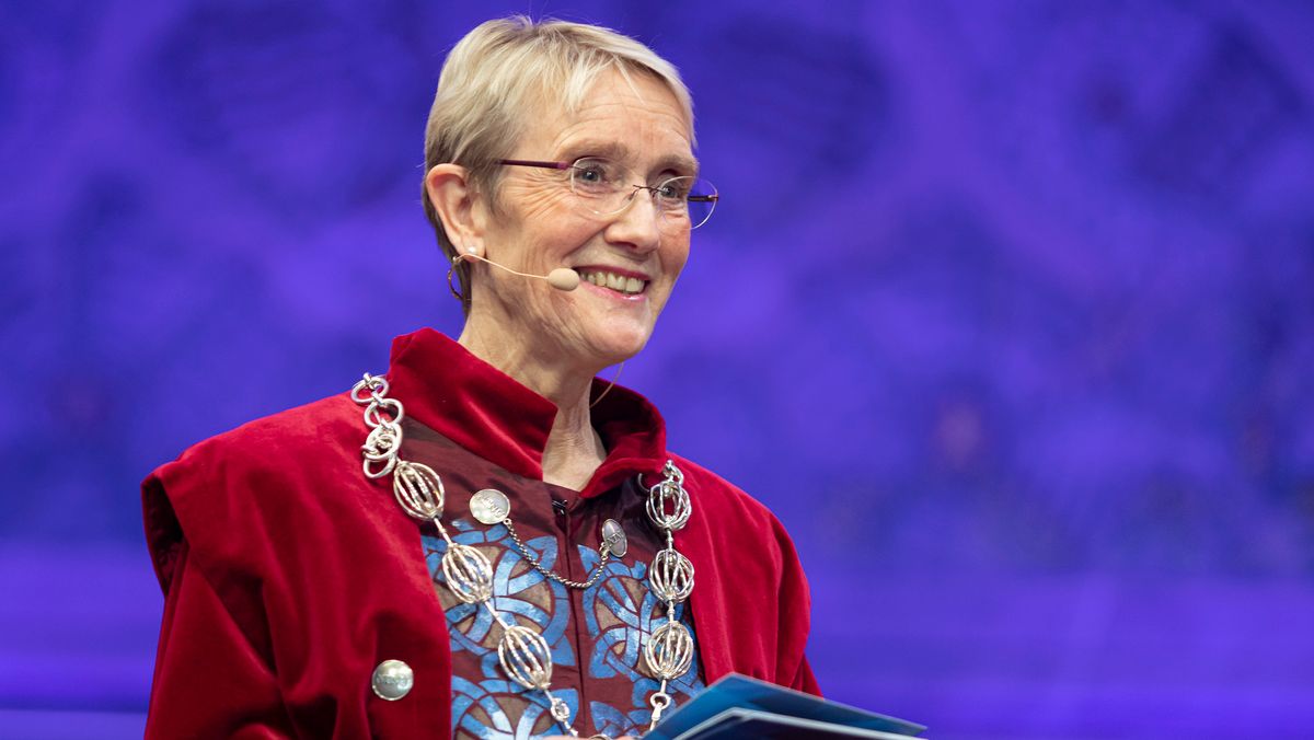 Anne Borg er NTNUs første kvinnelige rektor | Tu.no
