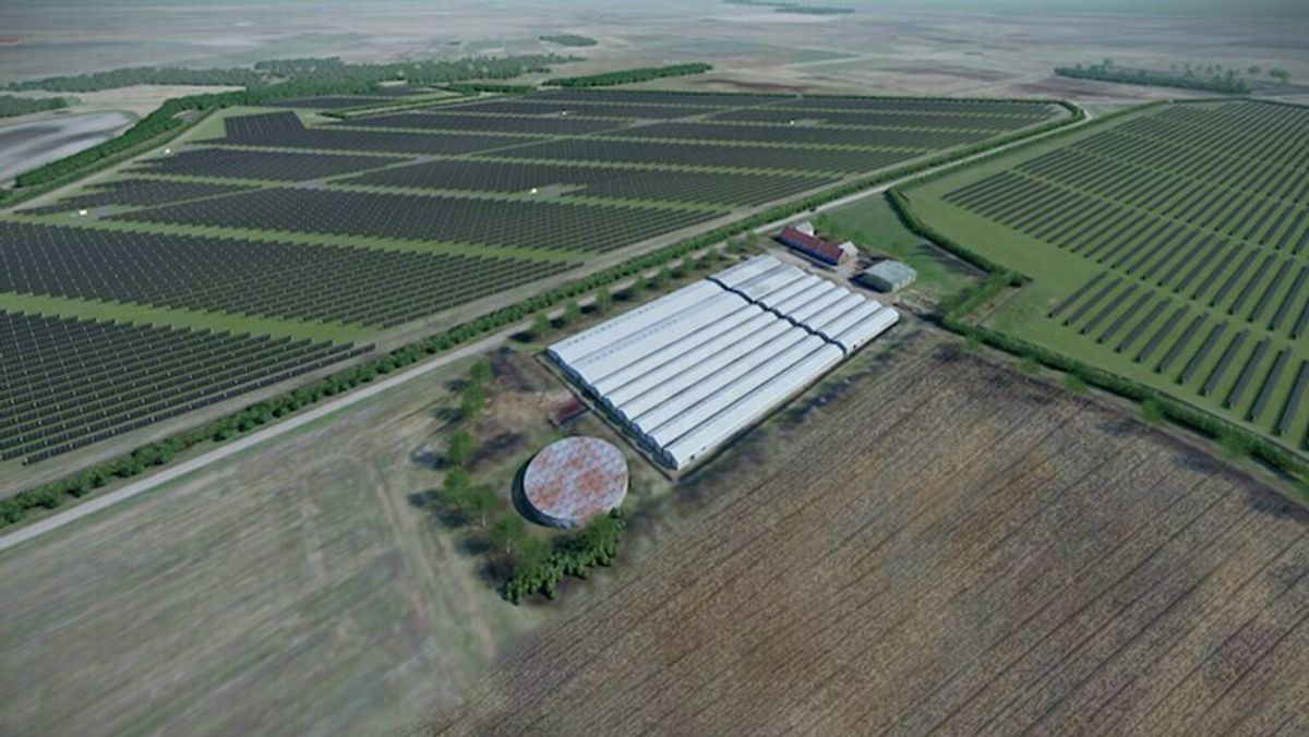 Prisen på solenergi stuper. Nå bygger Danmark solparker uten subsidier ...