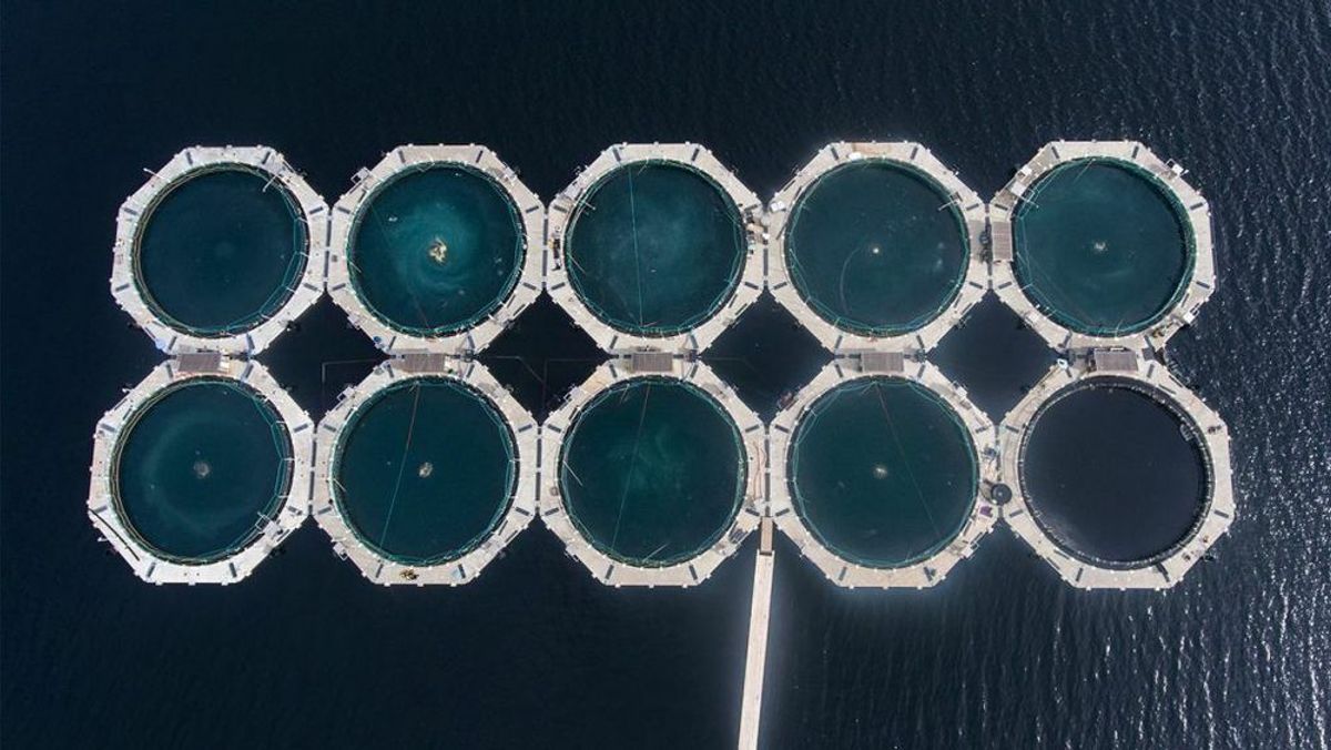 Oppdretter med lukket anlegg fikk som bestilt i ny ordning | Tu.no