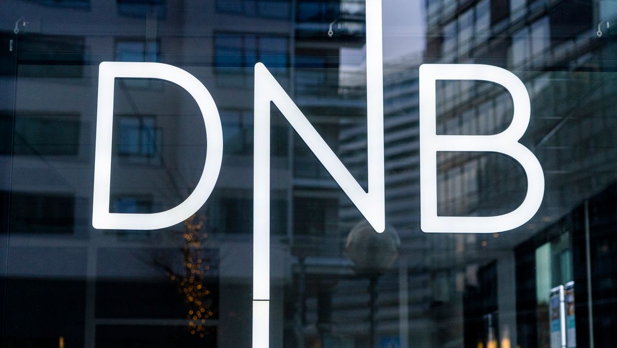 Nettbanktrøbbel for DNB | Digi.no