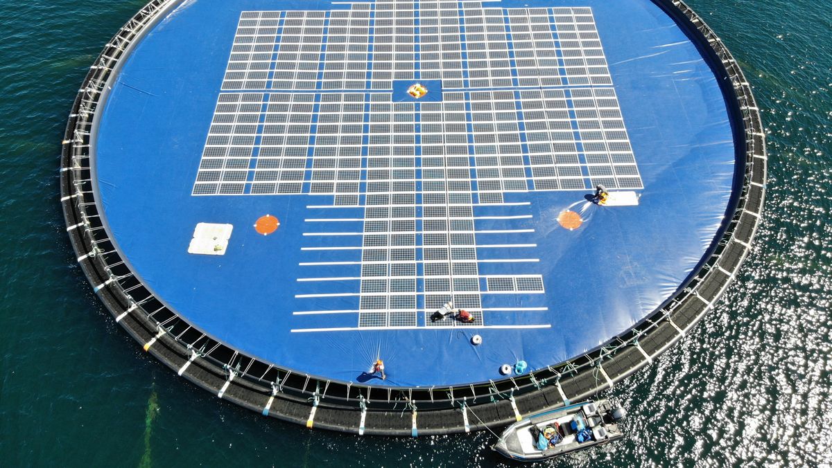 Solcellegründer saksøker konkurrent | Tu.no