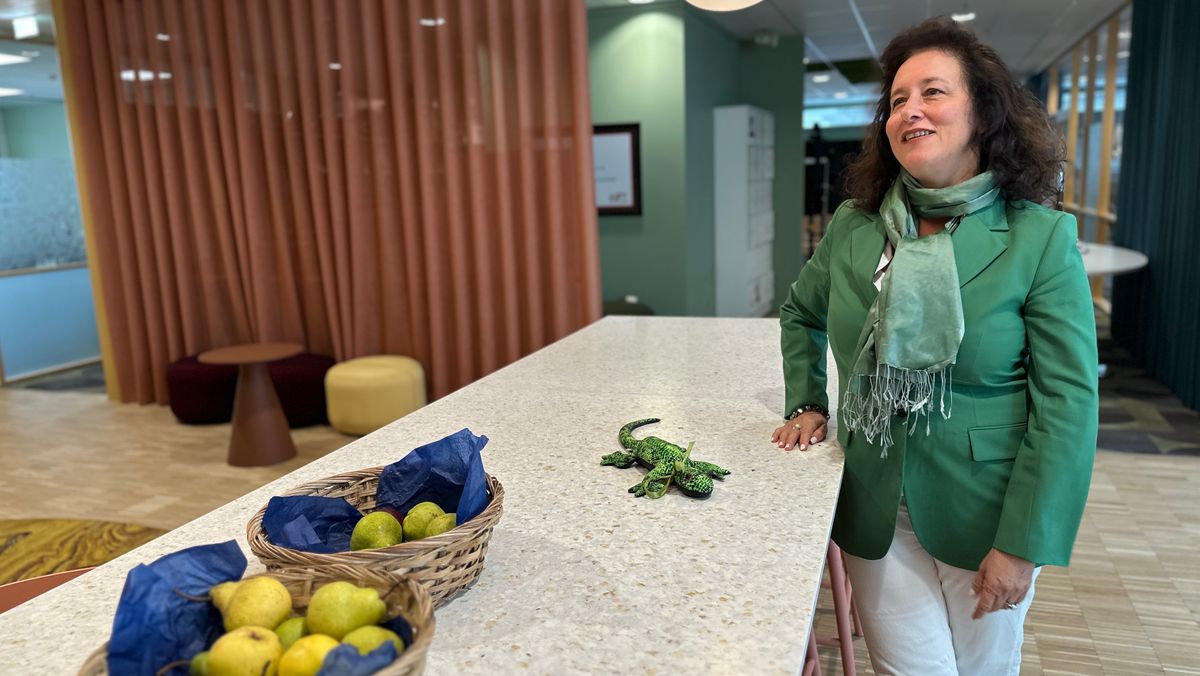 Tech-bransjen er best på kultur og ledelse, mener forskere: – Åtte grep som andre bransjer bør ...