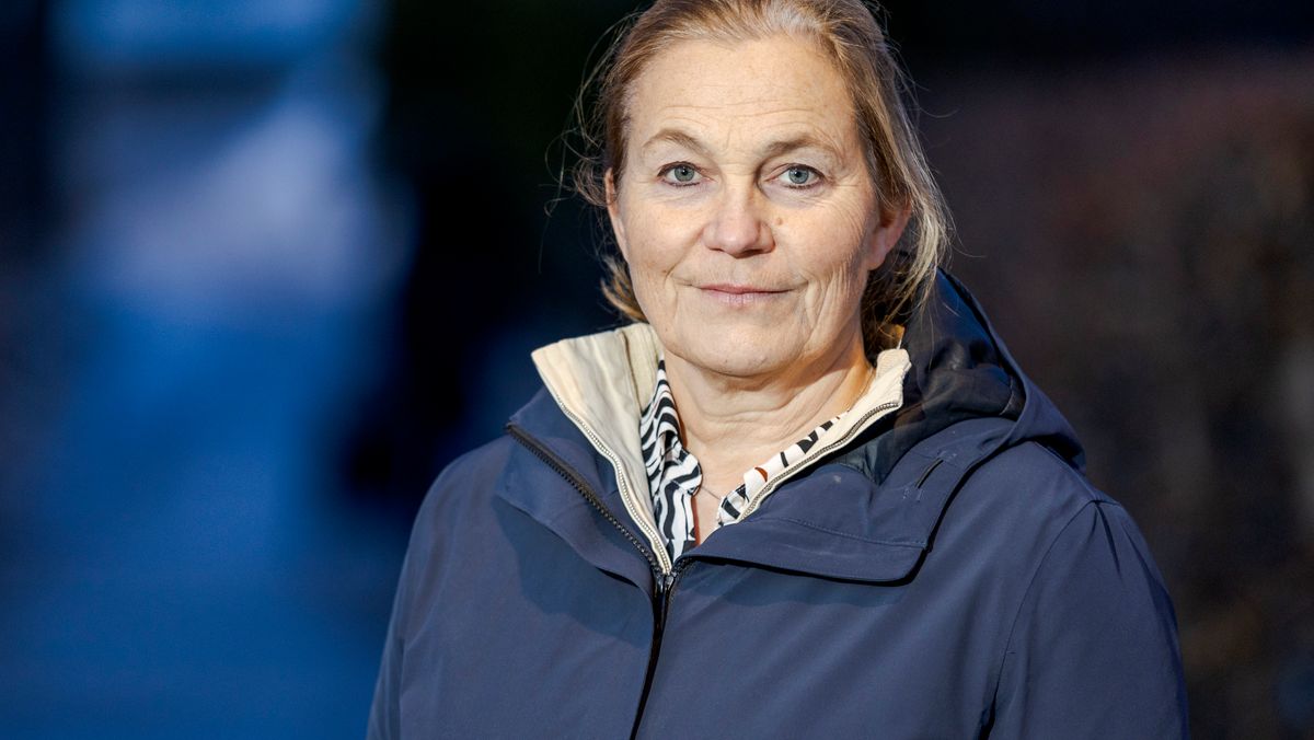 Sintef-sjefen om plagiat-sakene: Man må skille mellom juks og slurv - Tu.no