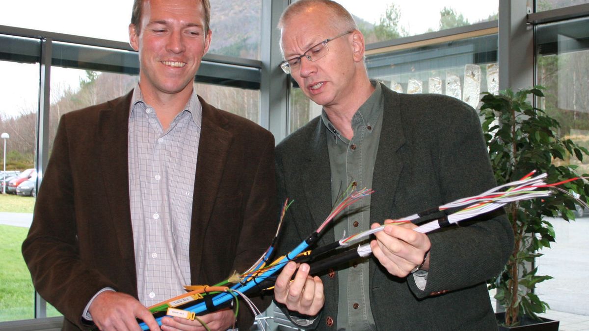 Derfor kan mini-selskapene måtte slippe bredbånds-gigantene inn i ...