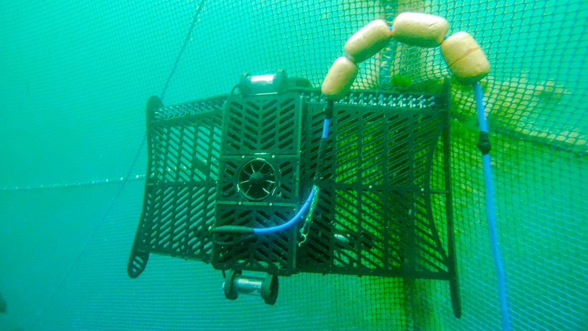 Robot renser laksemerder | Tu.no