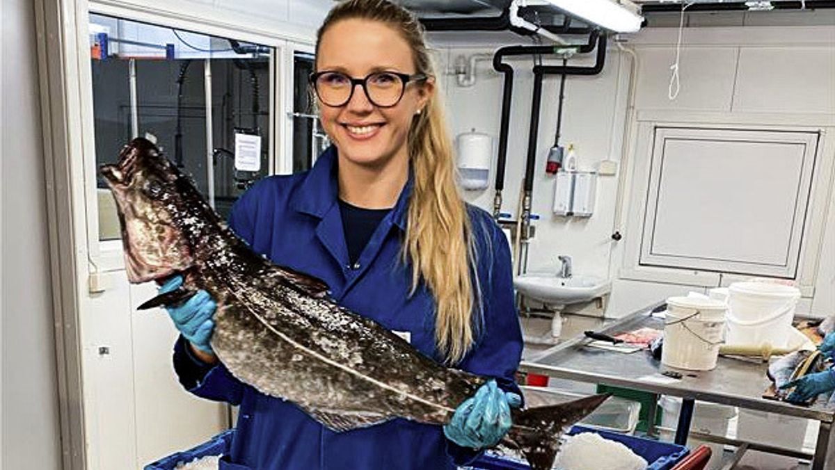 Vi kaster verdifullt råstoff på havet | Tu.no