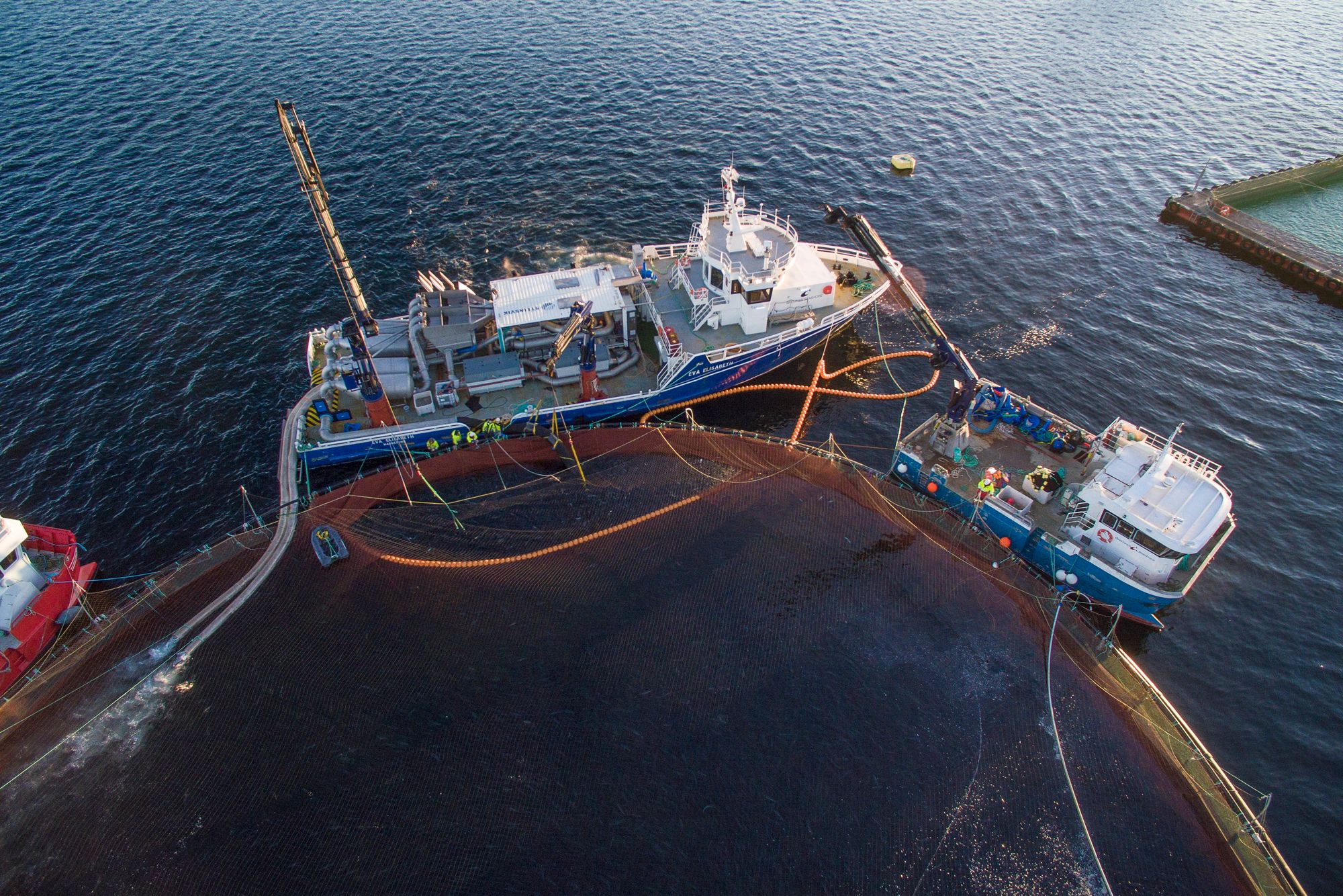 Dreper lakselus i ombygd dykkerskip | Tu.no