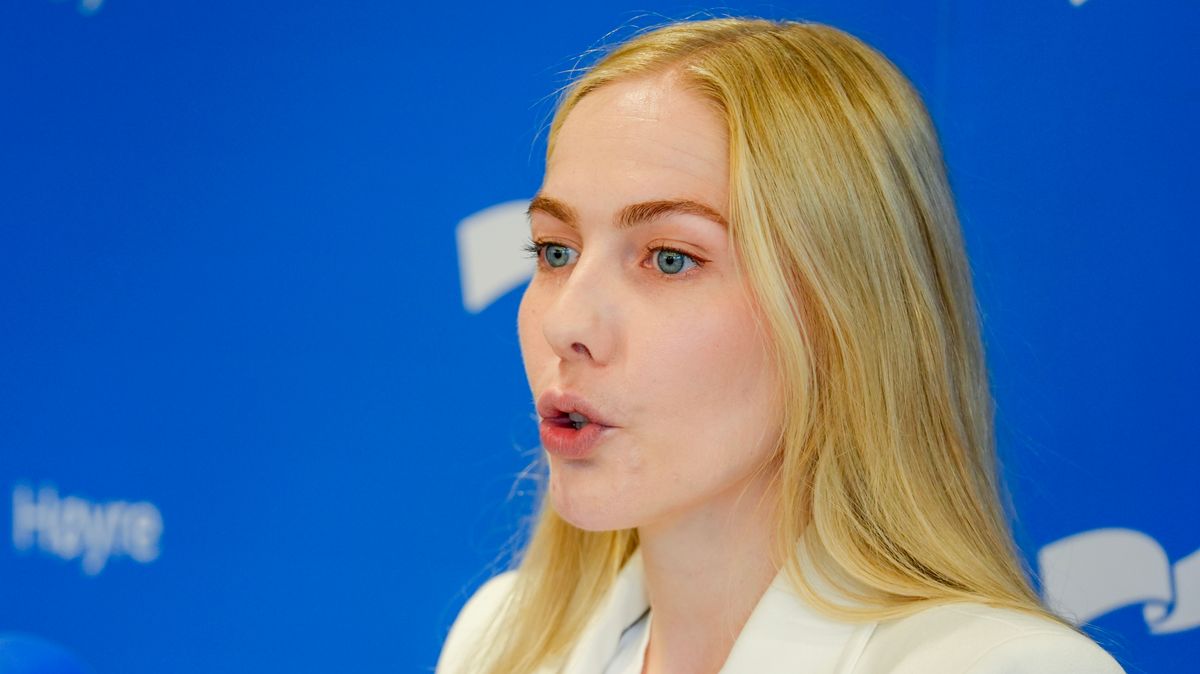 Høyre ber regjeringen om beredskapssvar | Digi.no